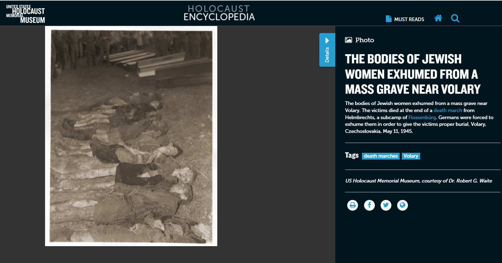 Arrow Cross and the Alleged Danube River Shootings Part Two - Holocaust ...